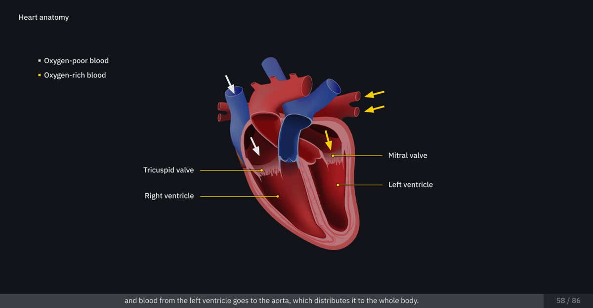 Evionica — CPL(A) E-Learning